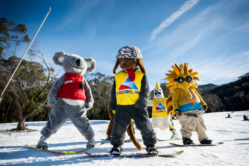 60 Years of Stoke | Brad Spalding & Thredboland...