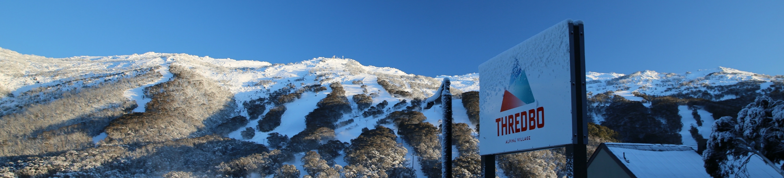 Travel By Bus or Private Transfer | Snowy Mountains | Thredbo NSW