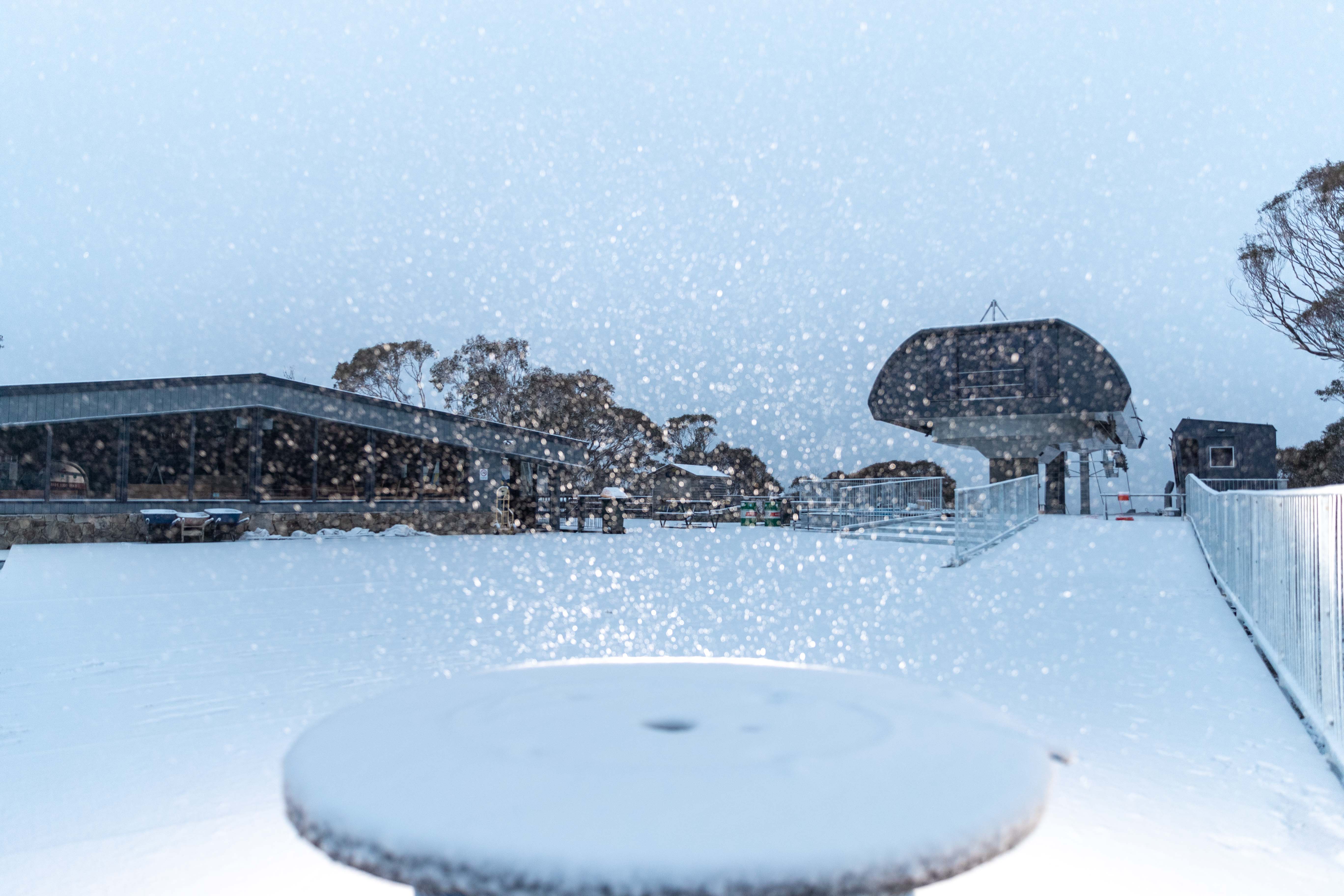 Fresh Dusting of Snow Overnight!