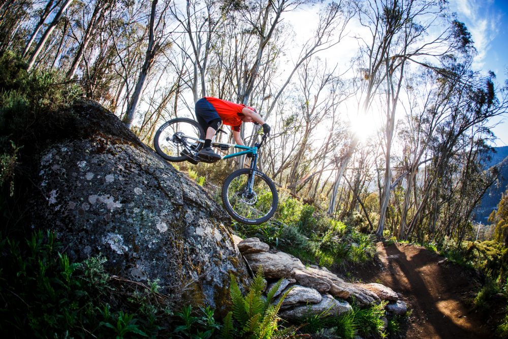 What's the Word On The Dirt? MTB Track Report Jan 6