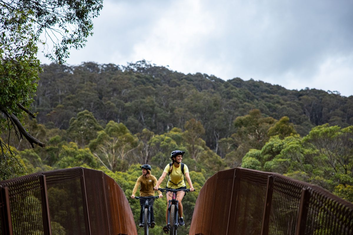 Best Snowy Mountains Bike Rides | Thredbo Valley Track