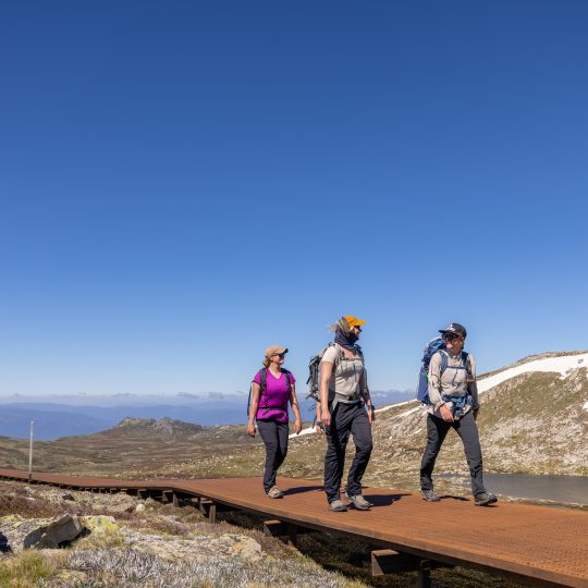 Mt Townsend Hike | Australia's Second Highest Peak | Thredbo, NSW