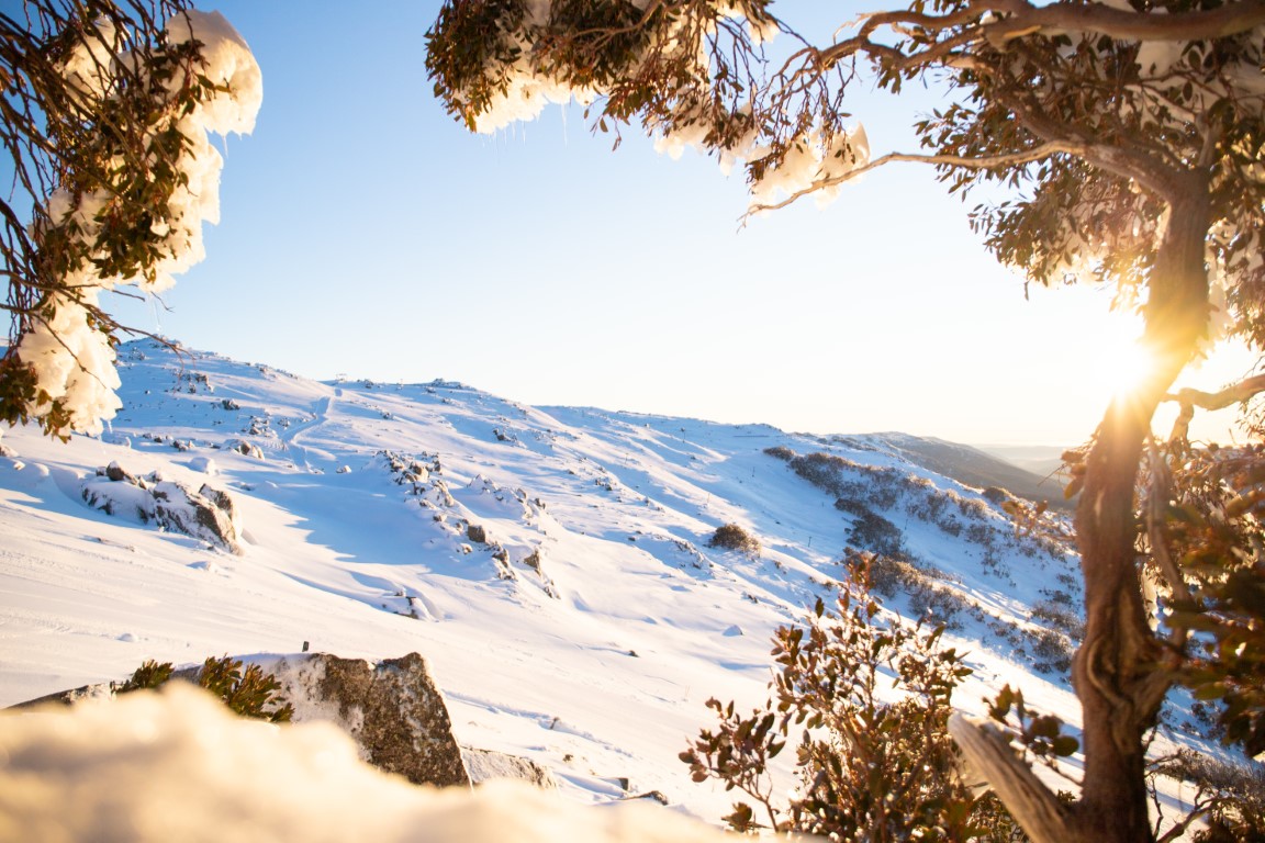 It's Almost Environment Week! Here's How We Can All Come Together To ...