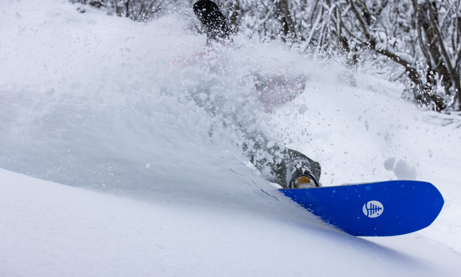 The Best Powder Day Of The Season After 28cm Of Fresh Snow