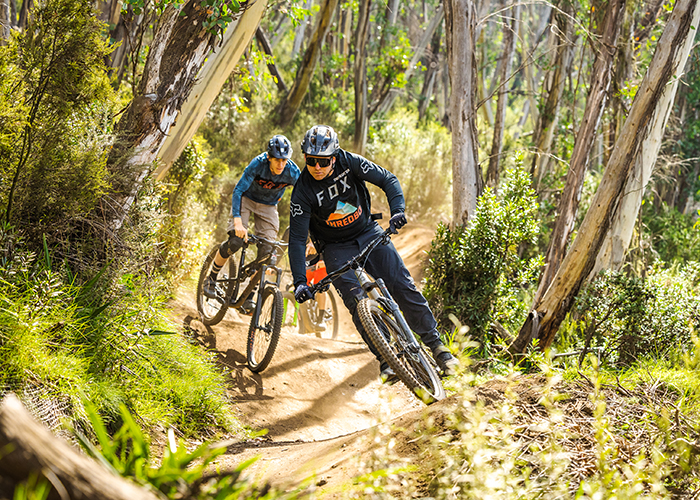 Private MTB Clinic | Thredbo Mountain Bike School
