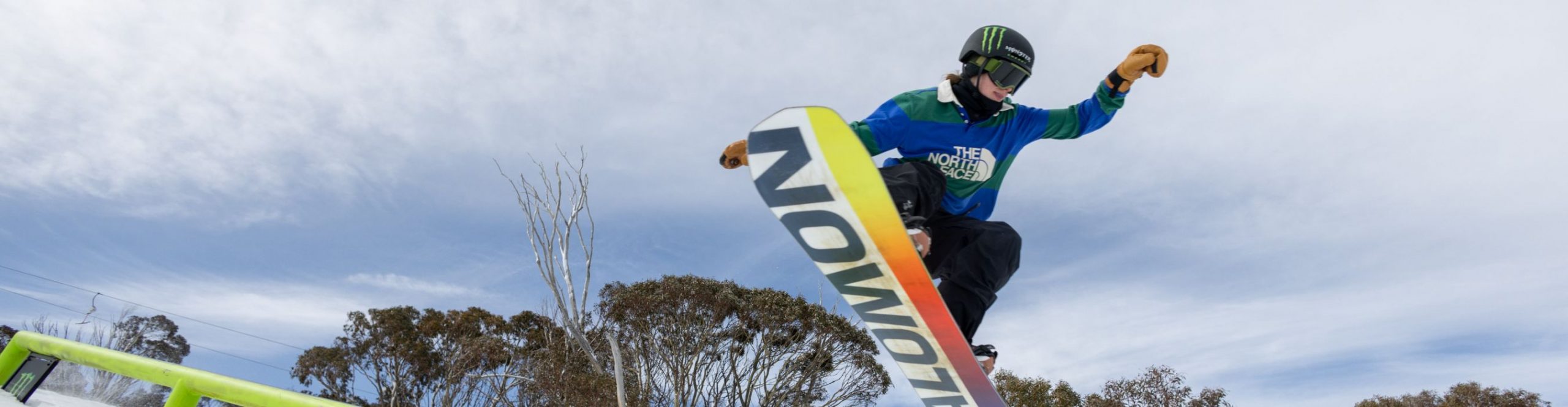 Star Spotlight: Tess Coady