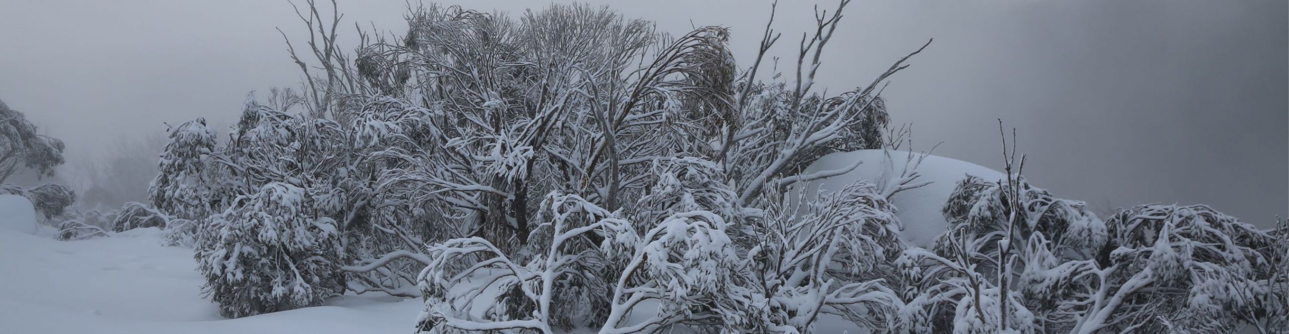 Storm Has Arrived! Experts Are Calling For Up To 70cm Of Fresh Snow ...