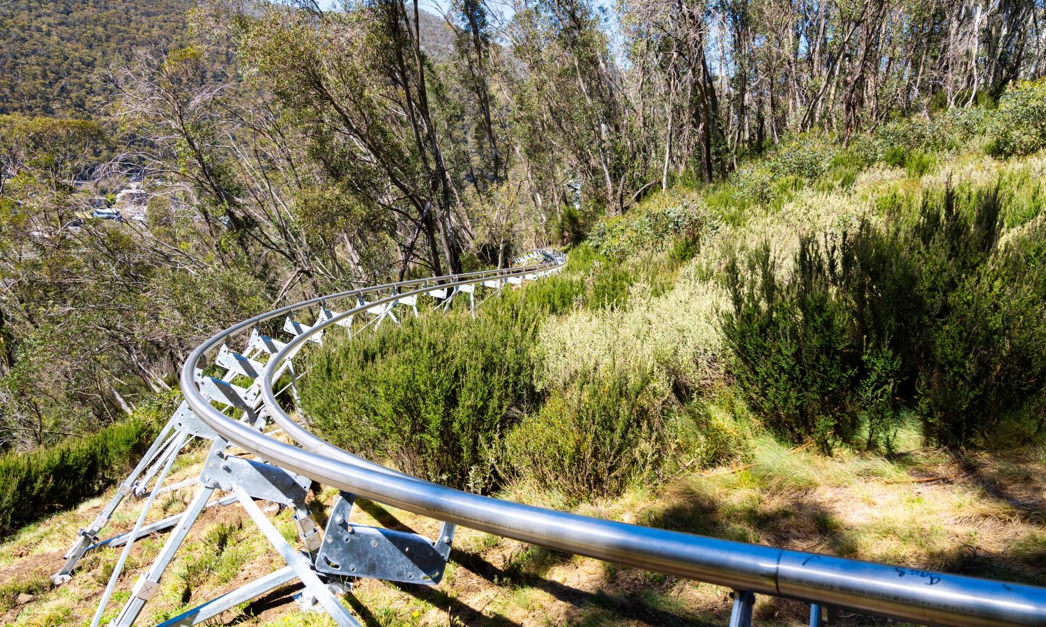 Thredbo Alpine Coaster