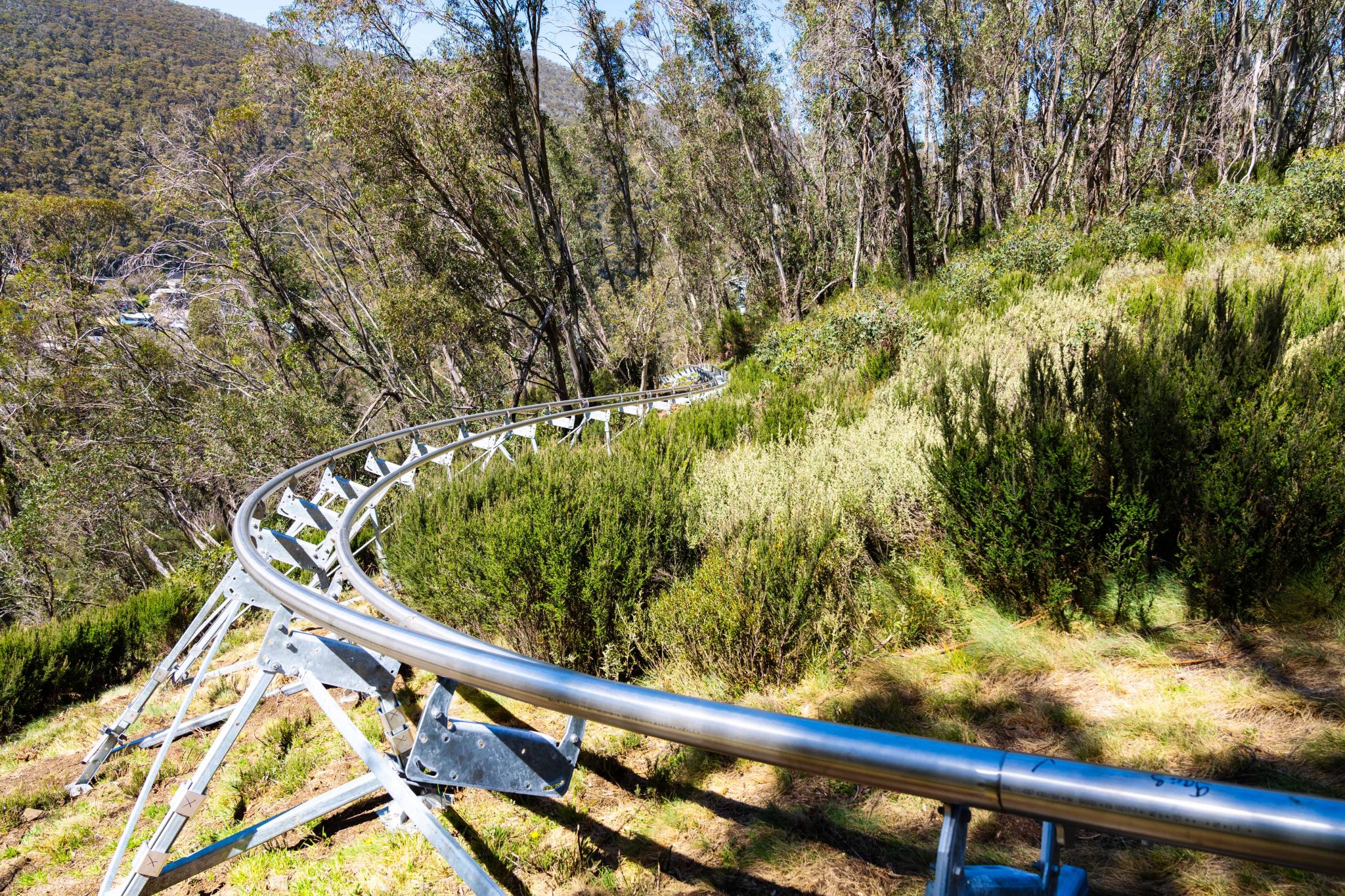 The New Thredbo Alpine Coaster Is Coming This Winter!