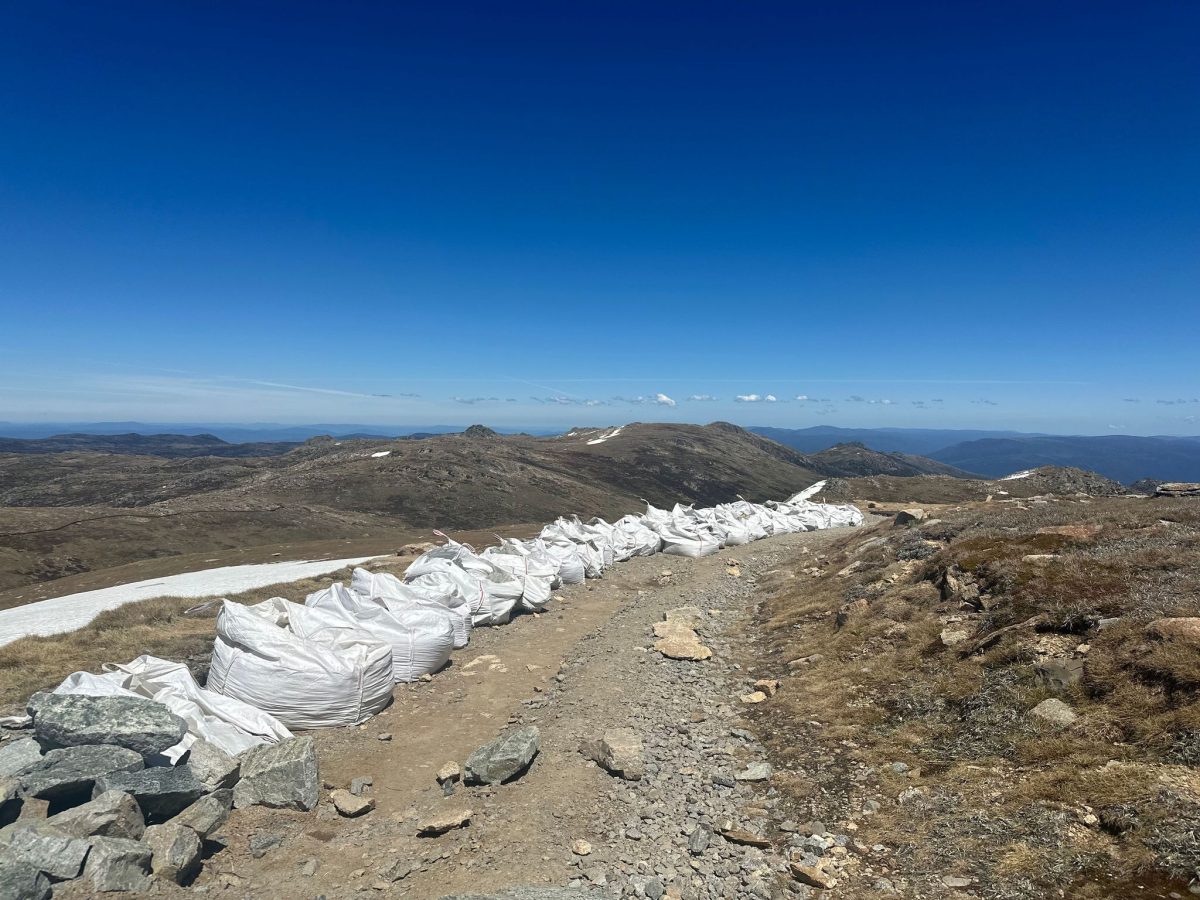 Thredbo Hikes Track Report | 7 November