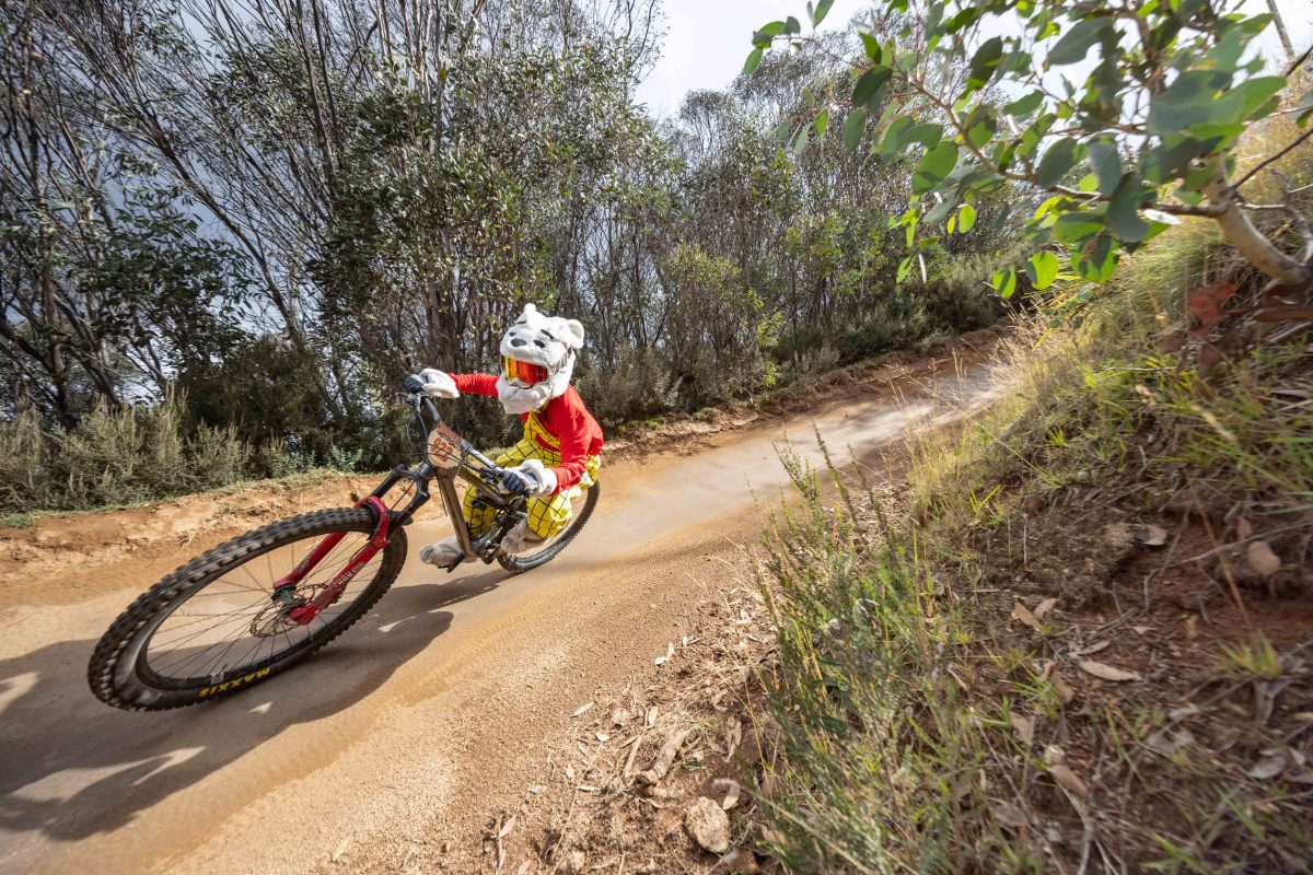 Thredbo MTB Park Wraps Up A Legendary Season, And Gears Up For Even ...