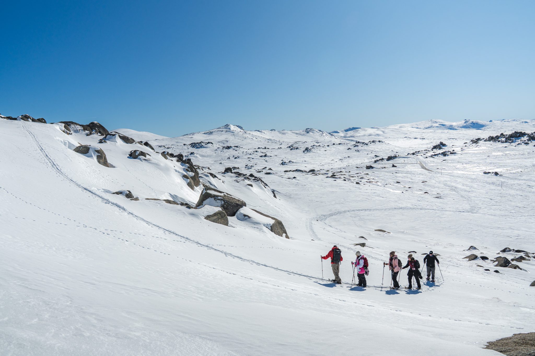 Discover Thredbo’s Backcountry Adventures: Your Ultimate Guide to Winter Exploration